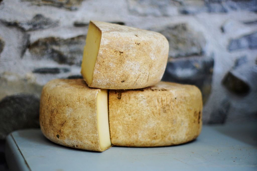 Red Cow Cheese – AuriculoShop